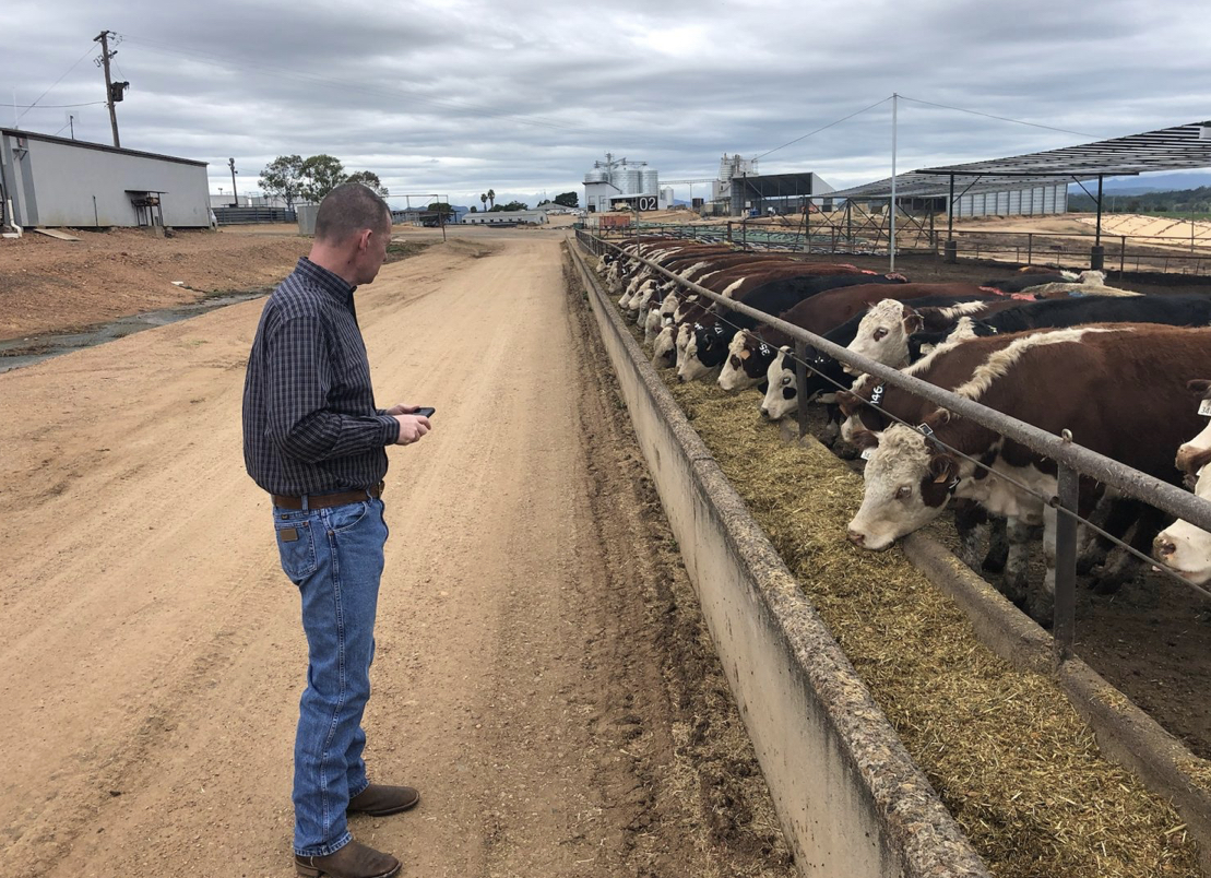 Remote wearables, ultrasounds and virtual eyewear to detect BRD in ...