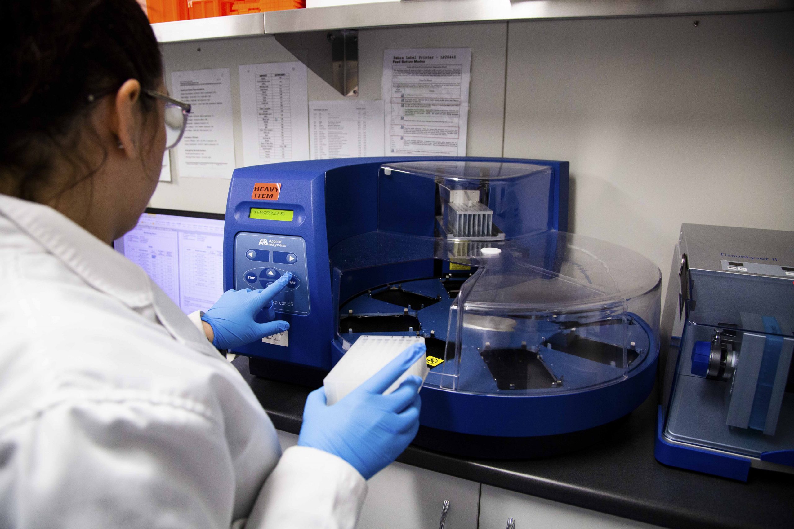 Pig industry to benefit from new cattle vaccine technology - ProSwine
