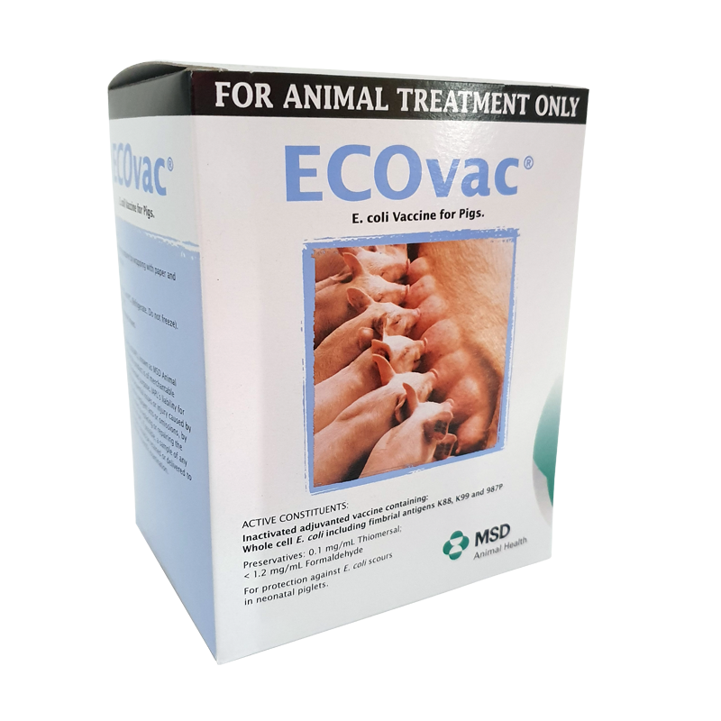 ECOvac Vaccine - ProSwine