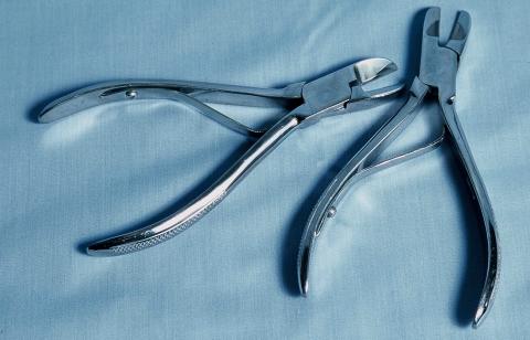 Teeth Clipper - ProSwine