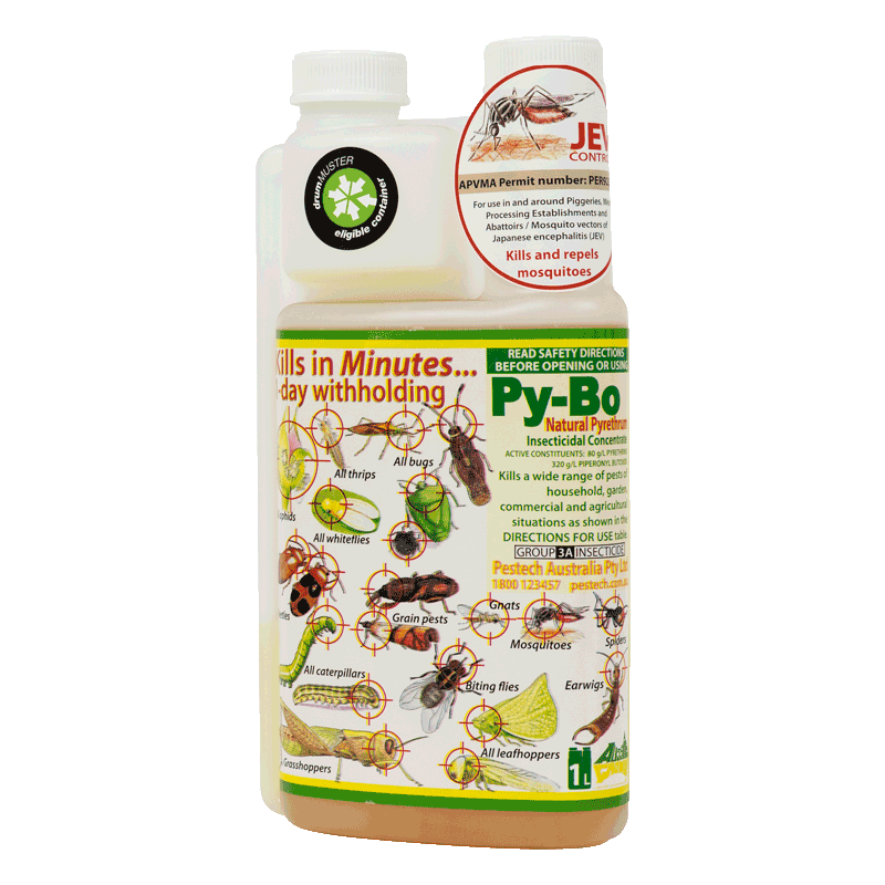 Py-Bo Natural Pyrethrum Insecticidal Concentrate - ProSwine