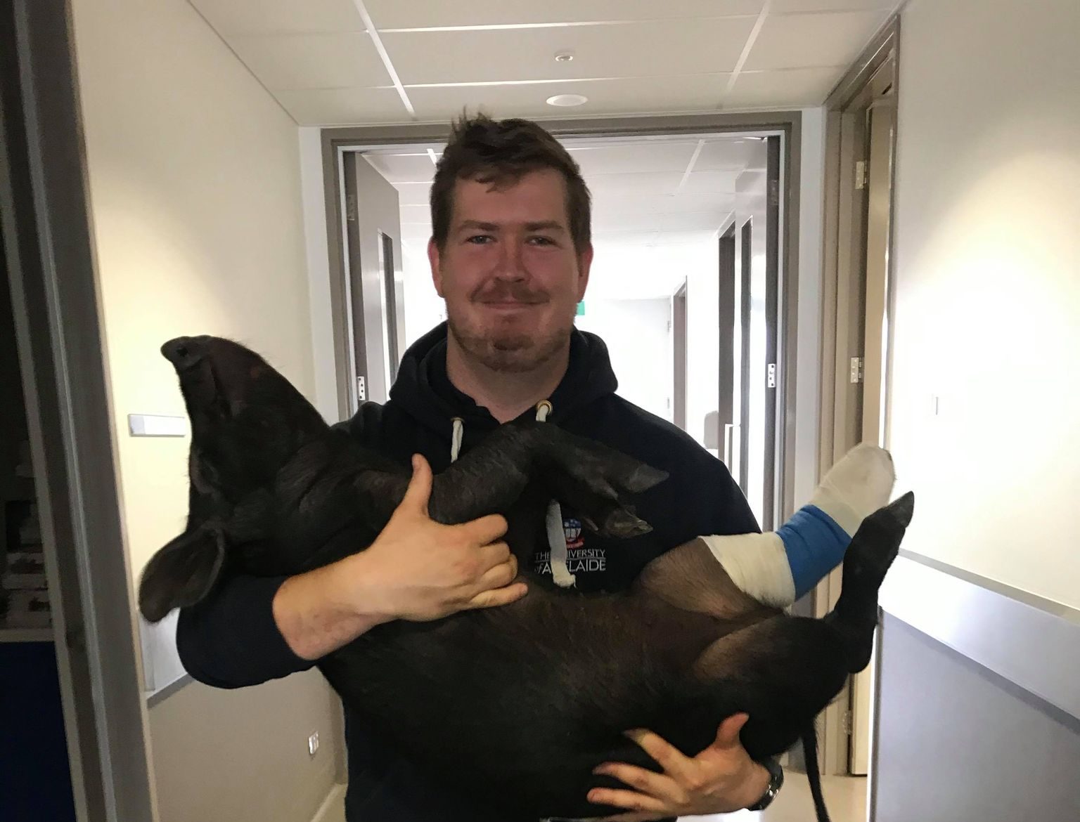 Profiling Our Team - Dr Jonathan Van Dissel - ProSwine