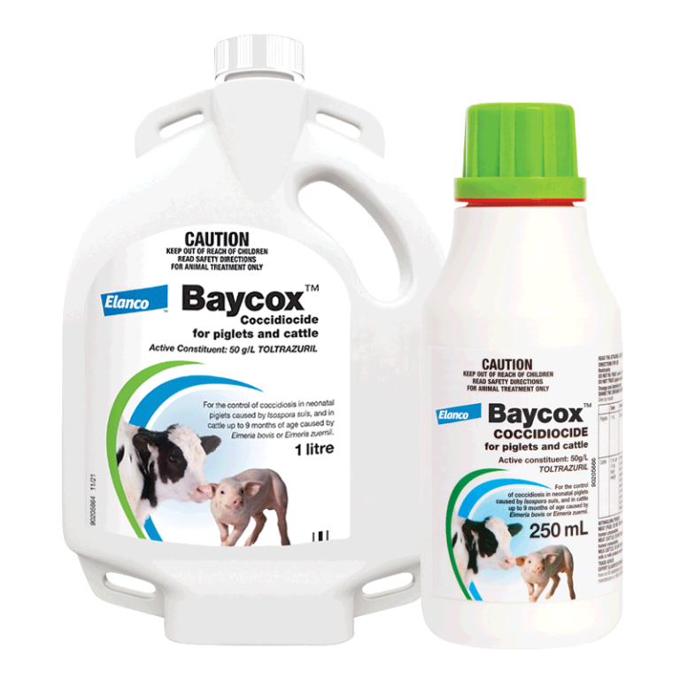 Baycox coccidiocide for piglets and cattle - ProSwine