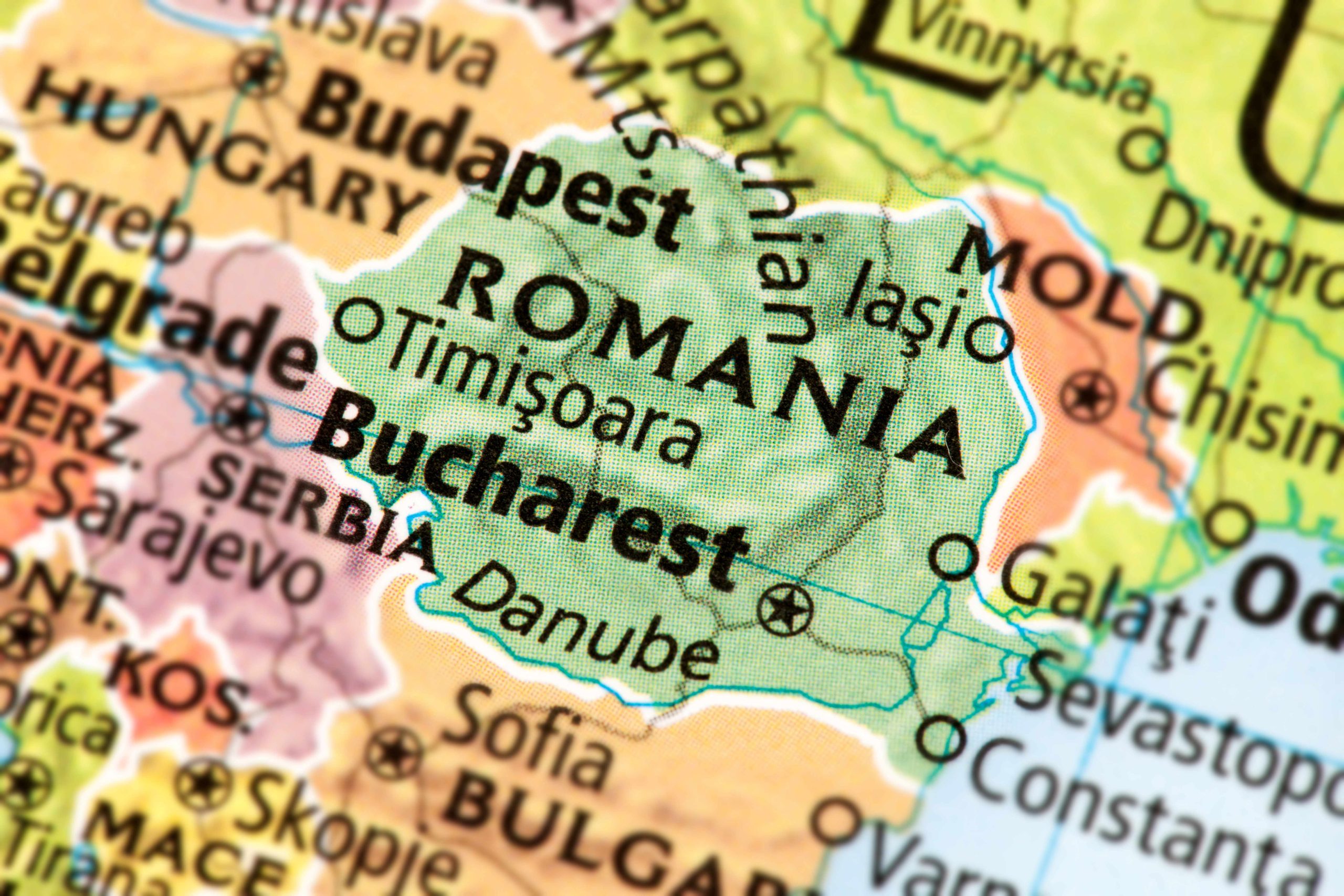 Eastern Europe joins forces to overcome African swine fever threat ...