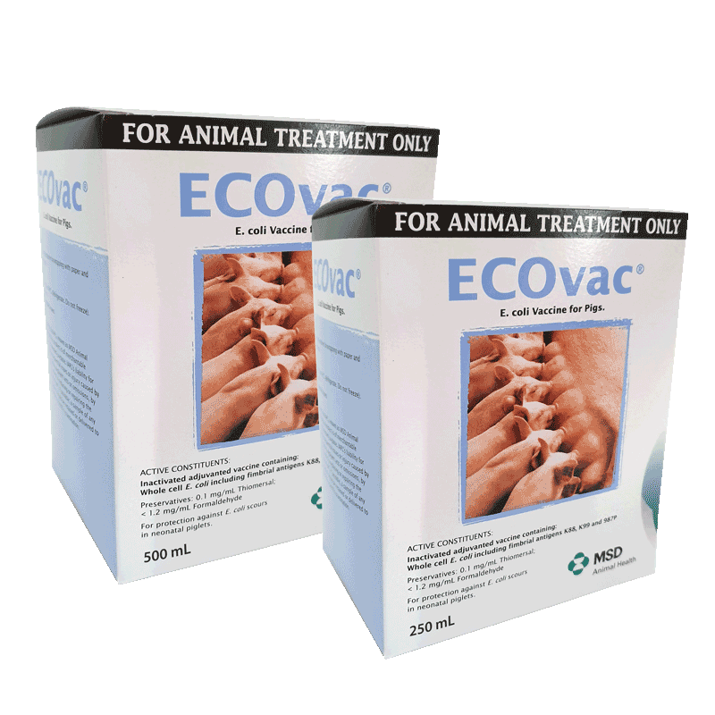 ECOvac Vaccine - ProSwine