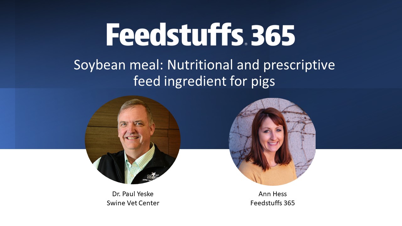 Soybean meal: Nutritional and prescriptive feed ingredient for pigs ...