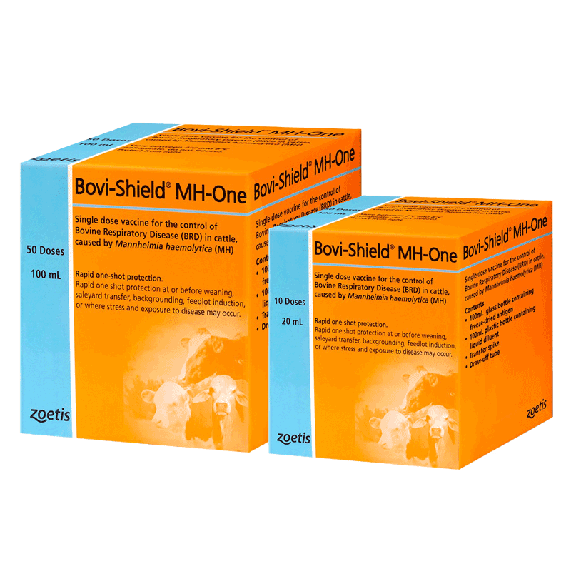 Bovi-Shield MH-One Vaccine - ProSwine