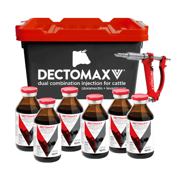 Dectomax V Injectable - ProSwine