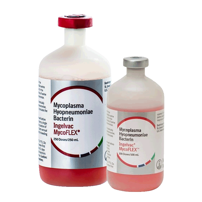 Ingelvac Mycoflex Vaccine - ProSwine