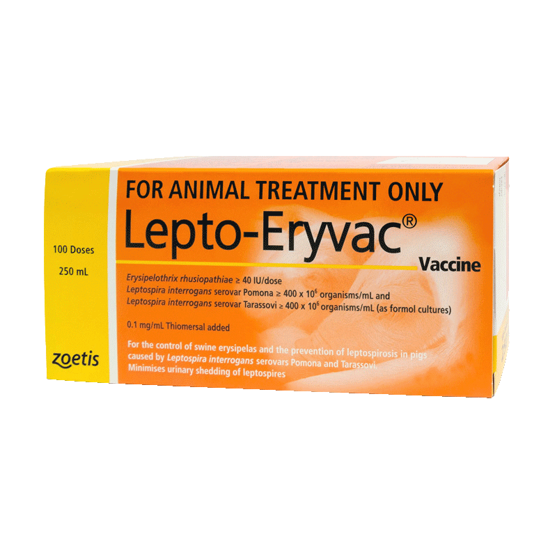 Lepto-Eryvac Vaccine - ProSwine