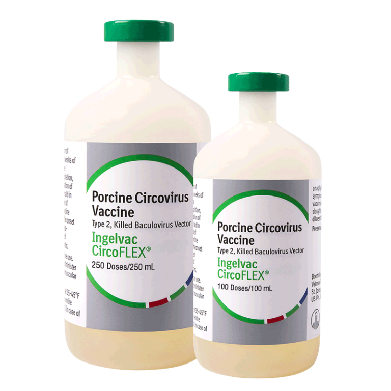 Ingelvac CircoFLEX Injection - ProSwine