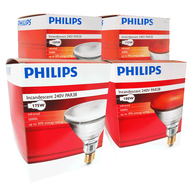 Globes - Philips - ProSwine