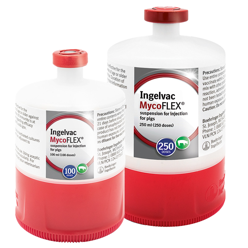 Ingelvac Mycoflex Vaccine - ProSwine