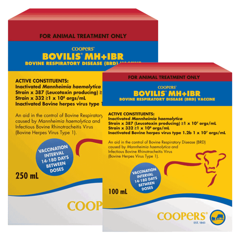 Bovilis MH + IBR - ProSwine